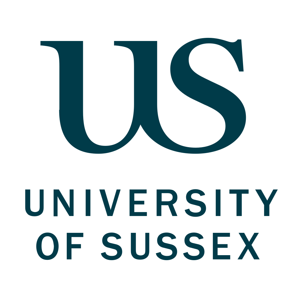 OPSE University Of Sussex - OI Digital Institute